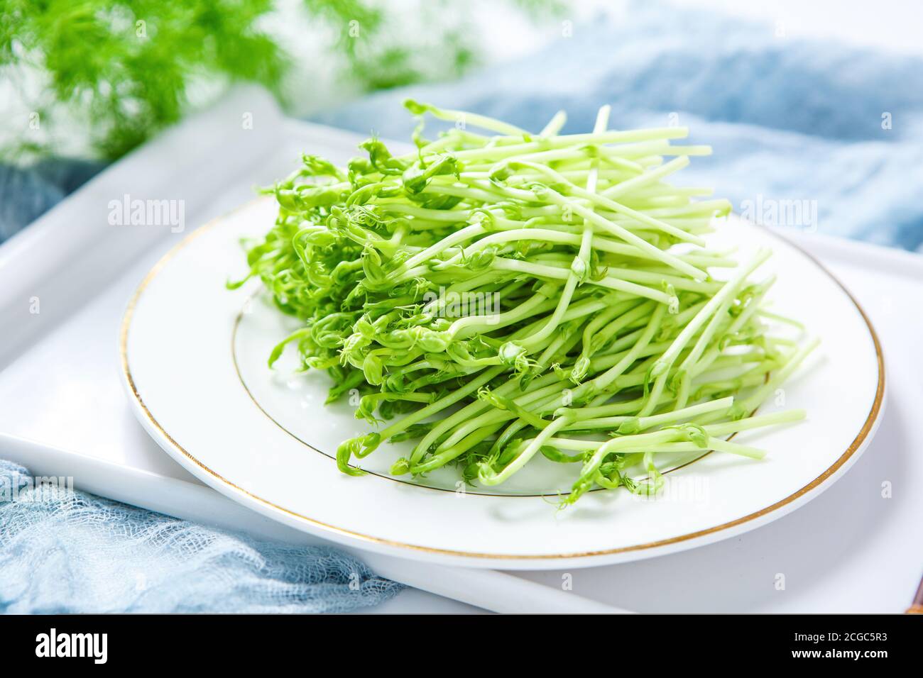 Sprout of red bean hi-res stock photography and images - Alamy
