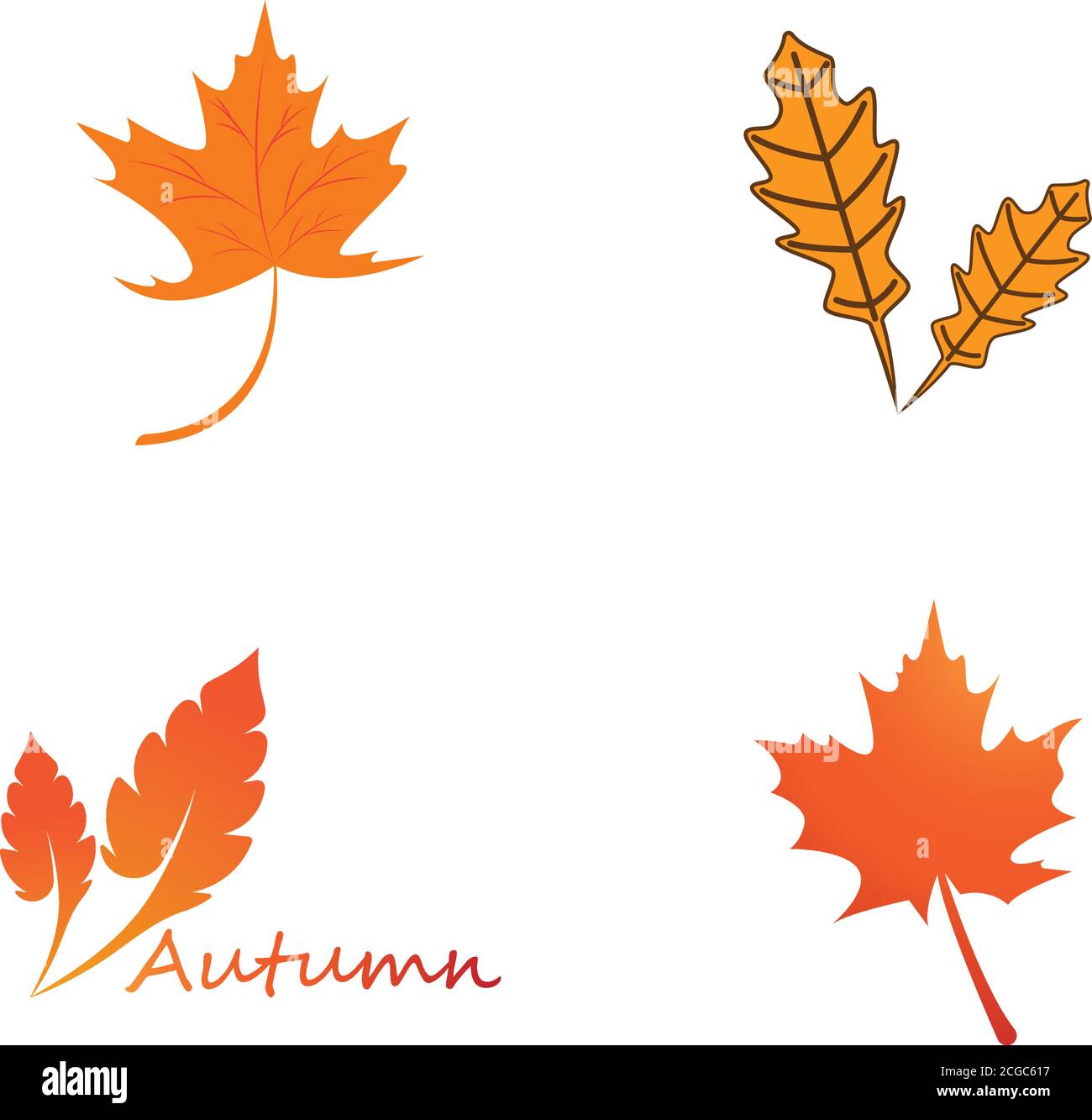 Oak Leaf Logo template vector illustration Stock Vector Image & Art - Alamy