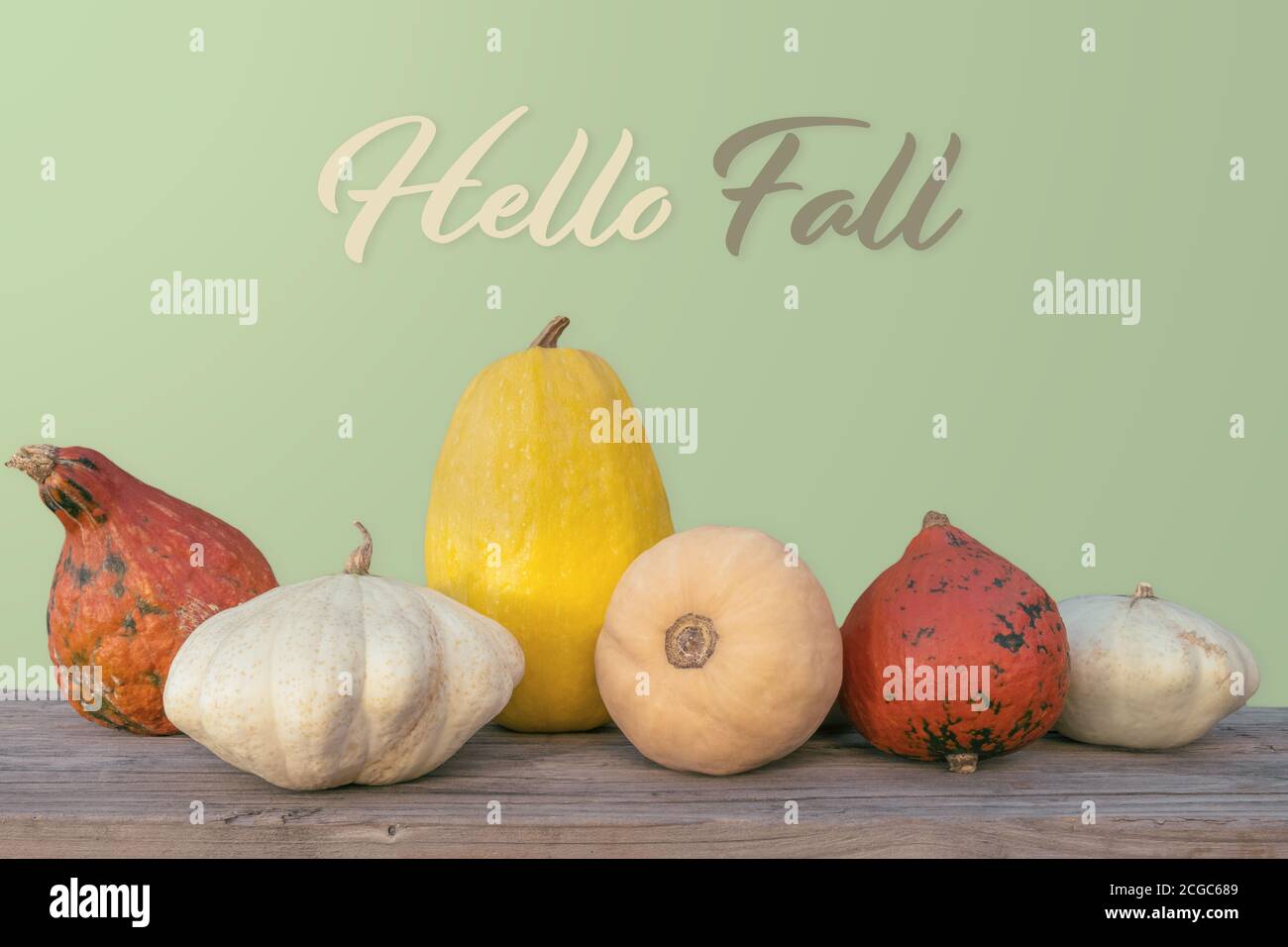 Holidays and season - autumn. Different beautiful colored pumpkins with ...