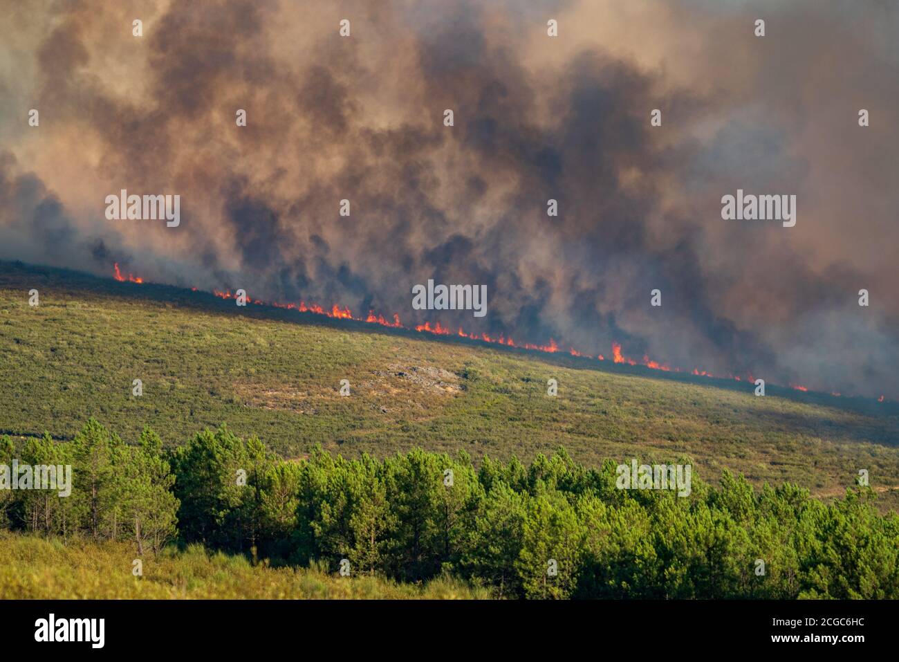 Hillside fire hi-res stock photography and images - Alamy