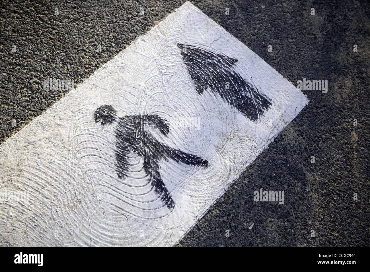 Pedestrian crossing on street, traffic and vehicles, safety sign Stock ...
