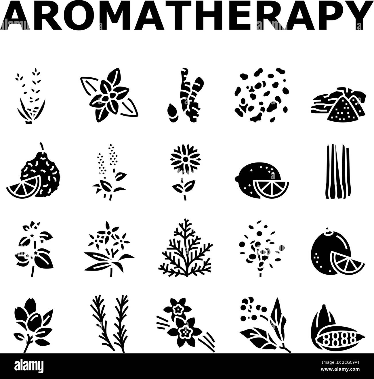 Aromatherapy Herbs Collection Icons Set Vector Illustration Stock ...