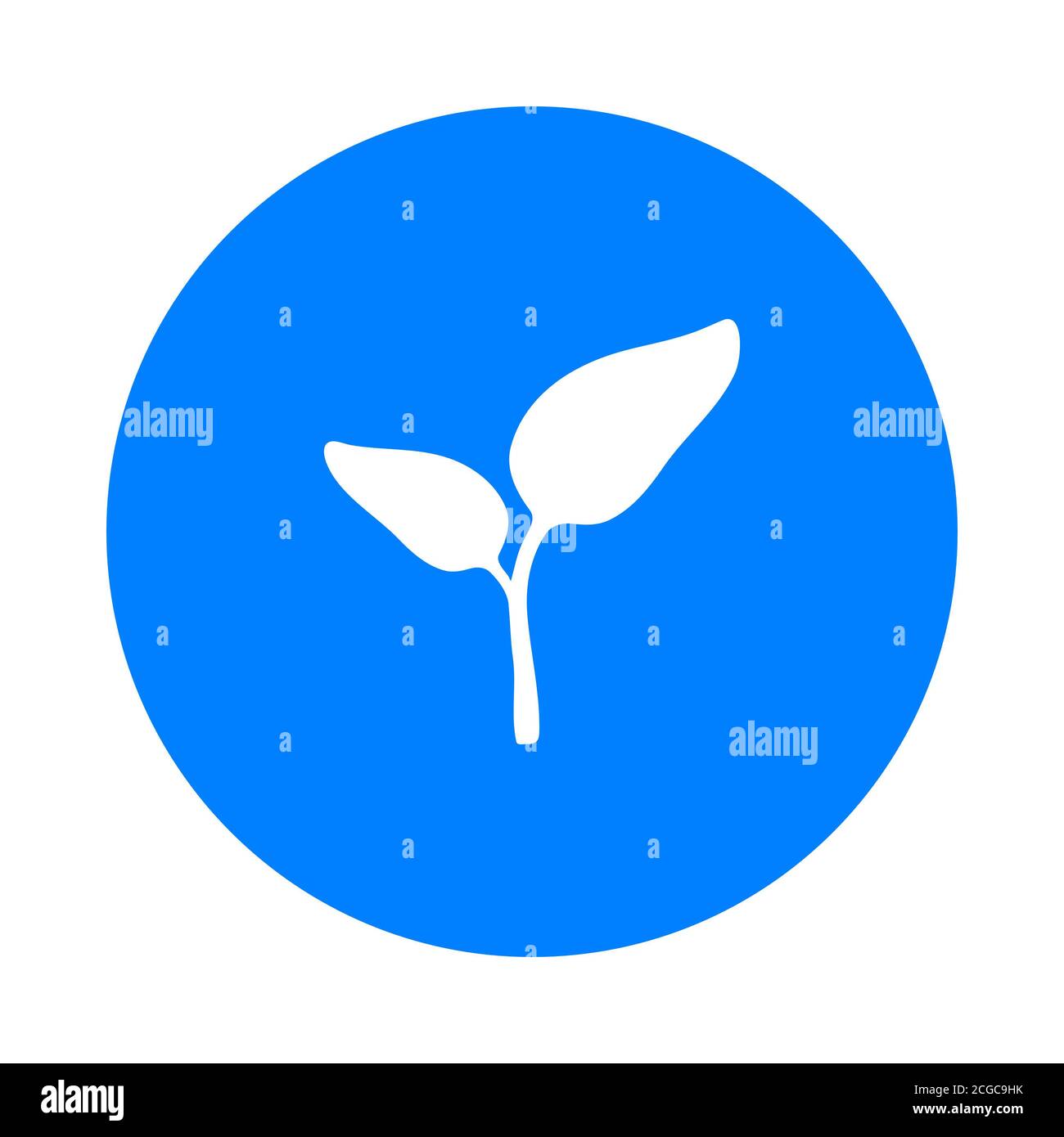 Plant and circle Stock Photo - Alamy