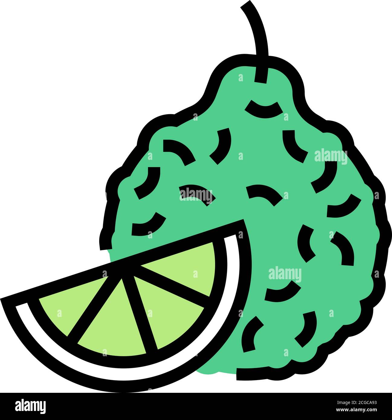 bergamot aromatherapy color icon vector isolated illustration Stock ...