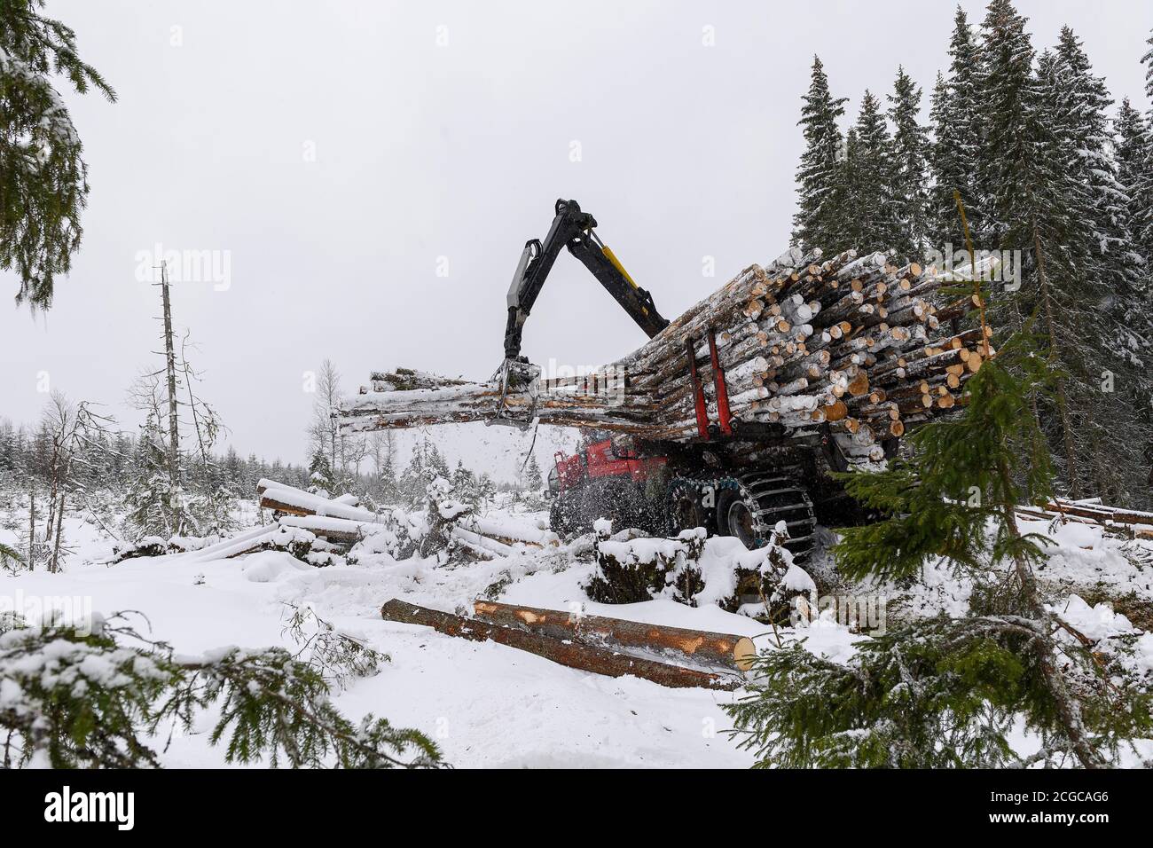 Timber harvesting machine hi-res stock photography and images - Alamy
