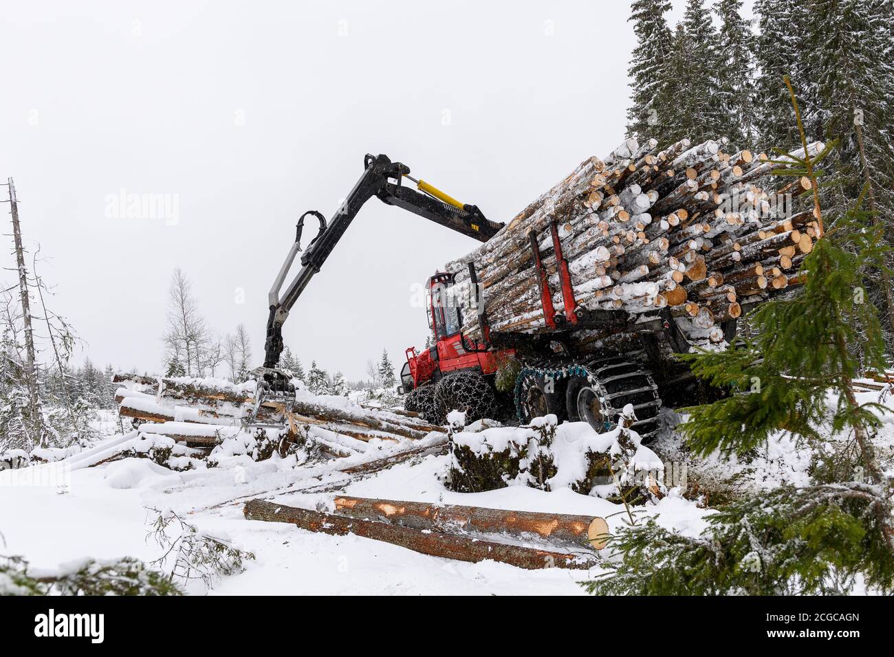 Timber harvesting machine hi-res stock photography and images - Alamy