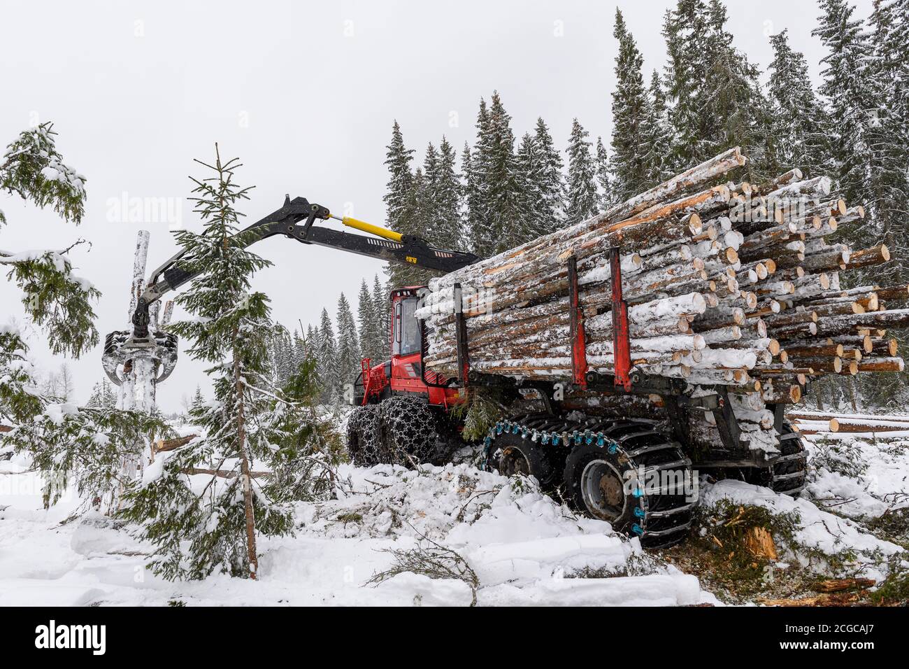Timber harvesting machine hi-res stock photography and images - Alamy