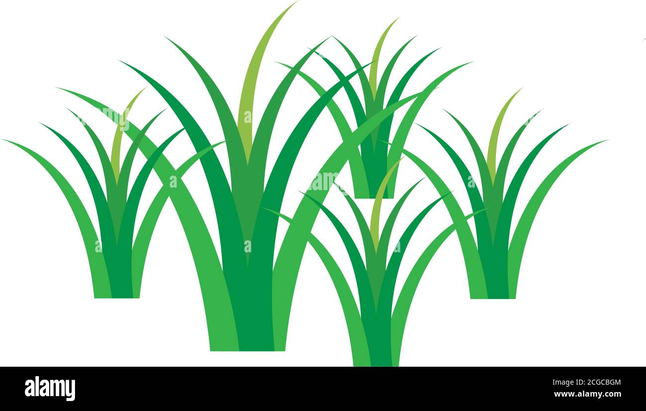 Grass logo vector template illustration Stock Vector Image & Art - Alamy