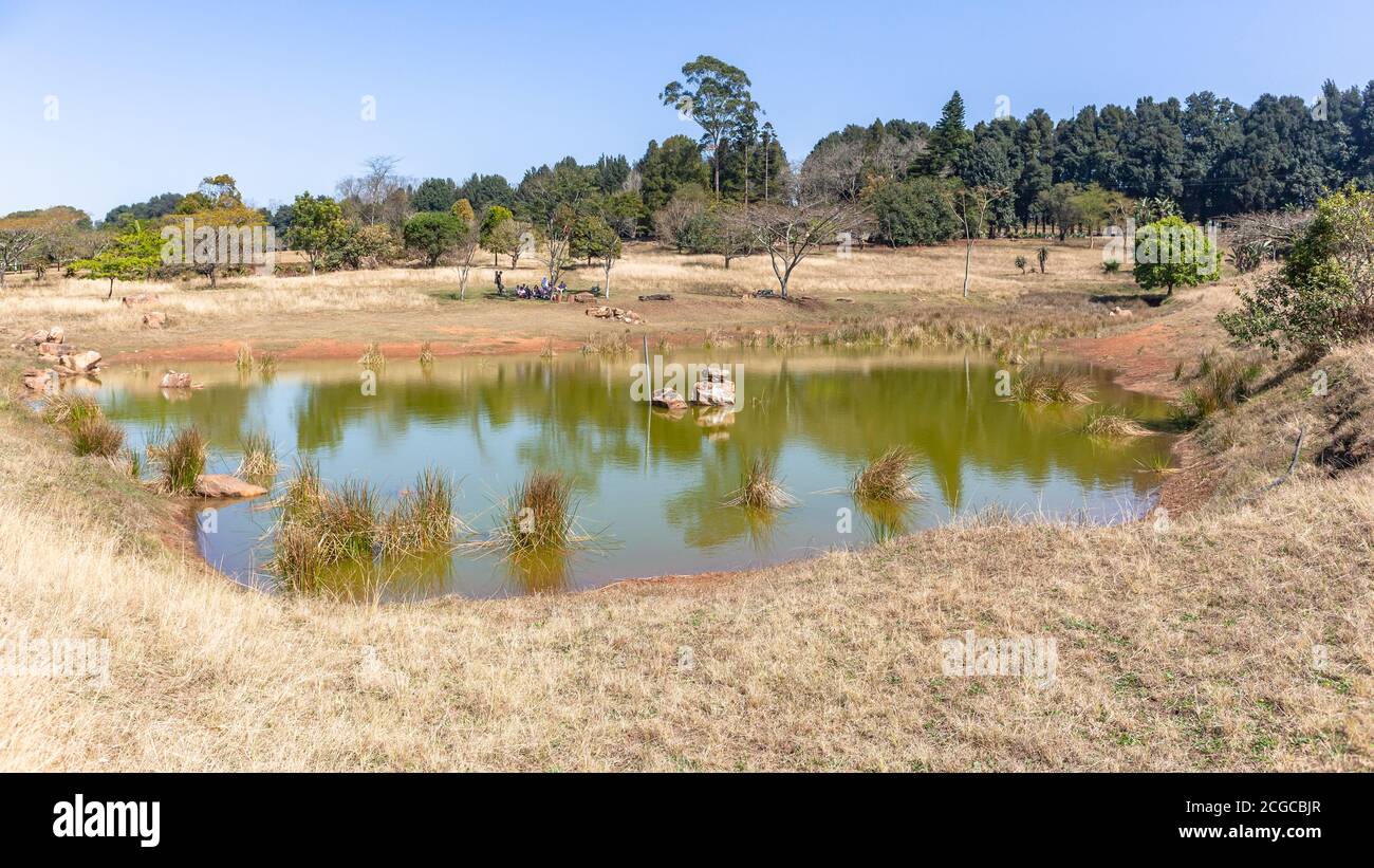 Farm dam dry hi-res stock photography and images - Alamy