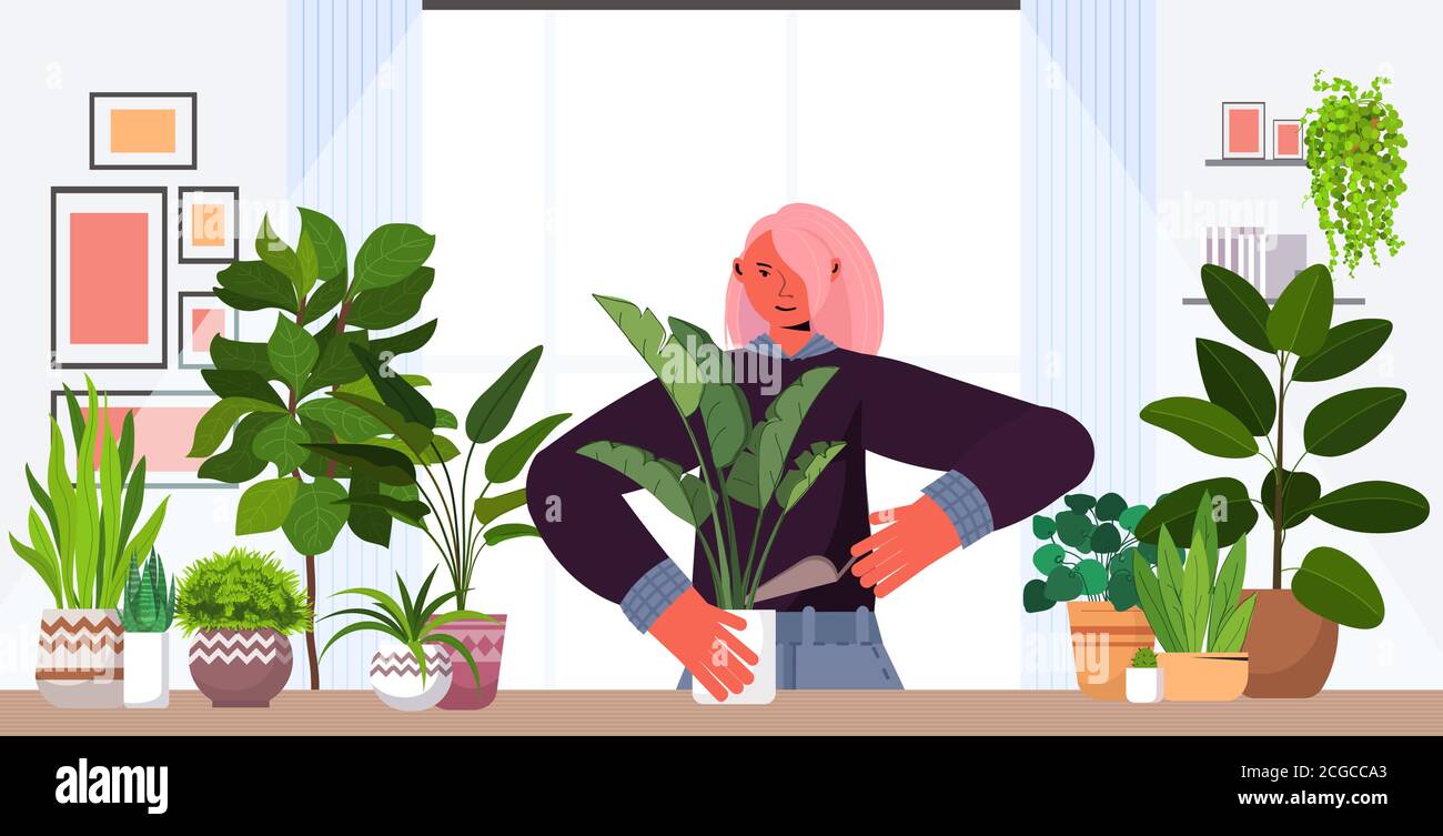 woman planting houseplants in pot housewife caring of her plants ...