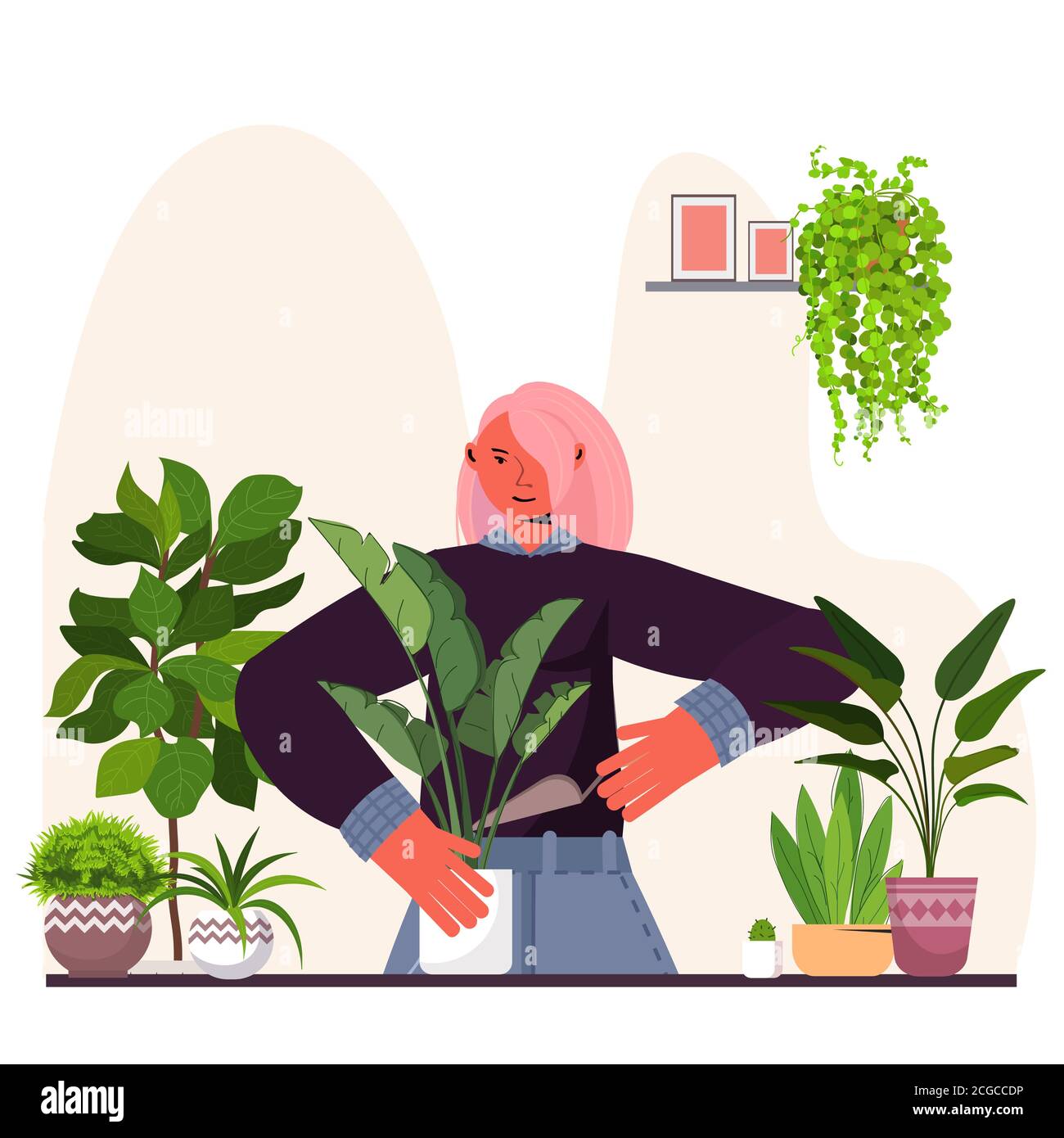 woman planting houseplants in pot housewife caring of her plants ...