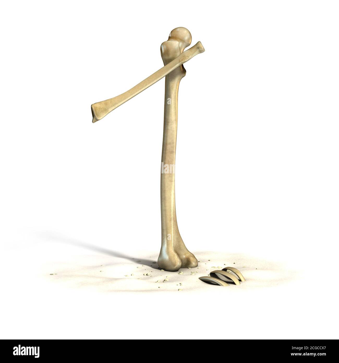 bones 3d font number 1 Stock Photo - Alamy