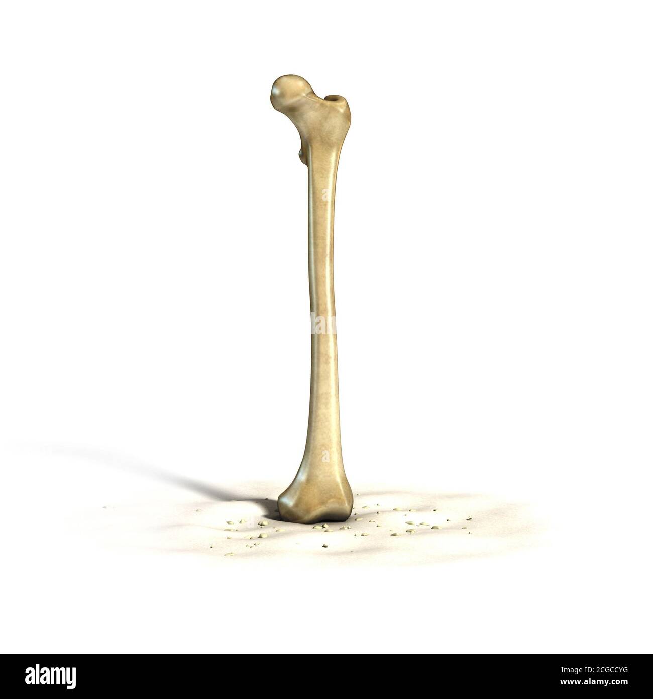 bones 3d font letter I Stock Photo - Alamy