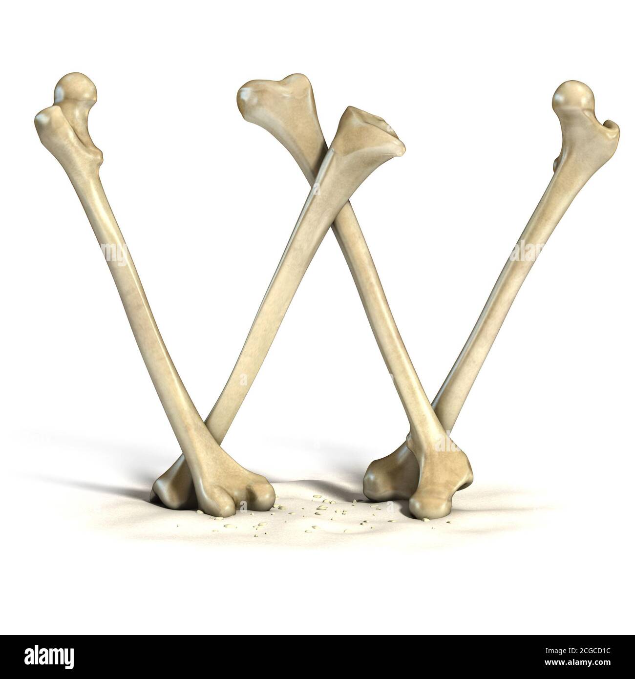 bones 3d font letter W Stock Photo - Alamy