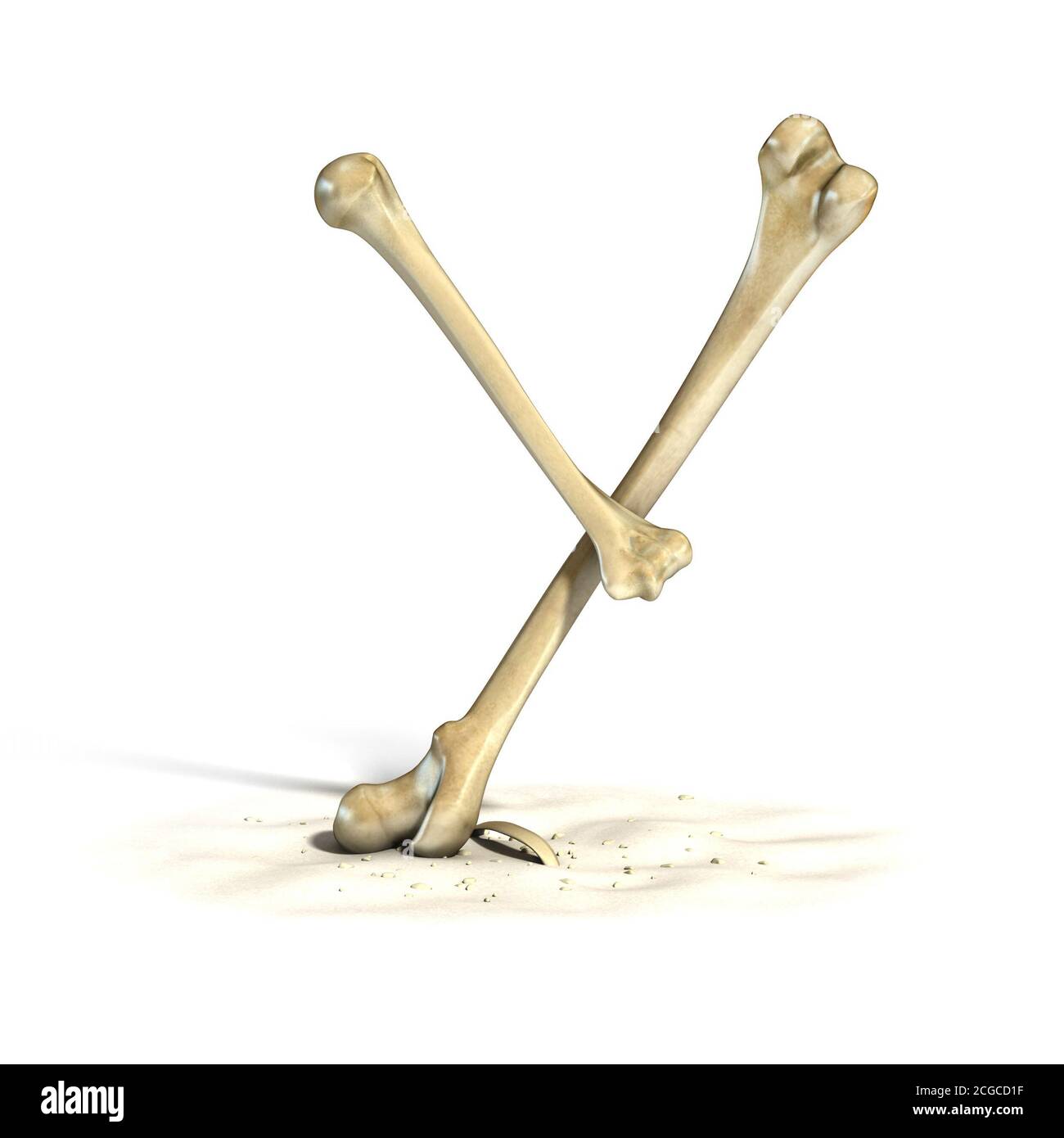 Realistic human bones 3d hi-res stock photography and images - Alamy