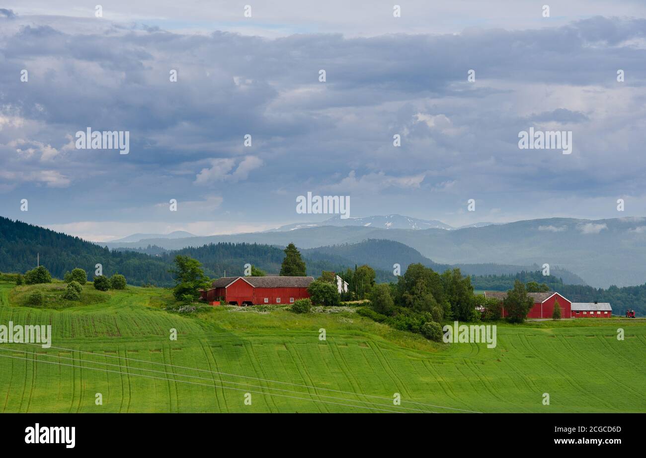 Norwegian landscape scenery with farms Stock Photo - Alamy
