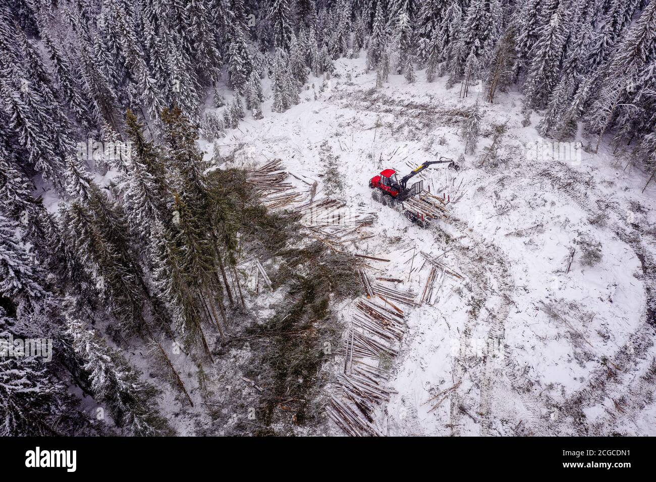 Sustaineable European spruce timber harvesting in Norway during ...