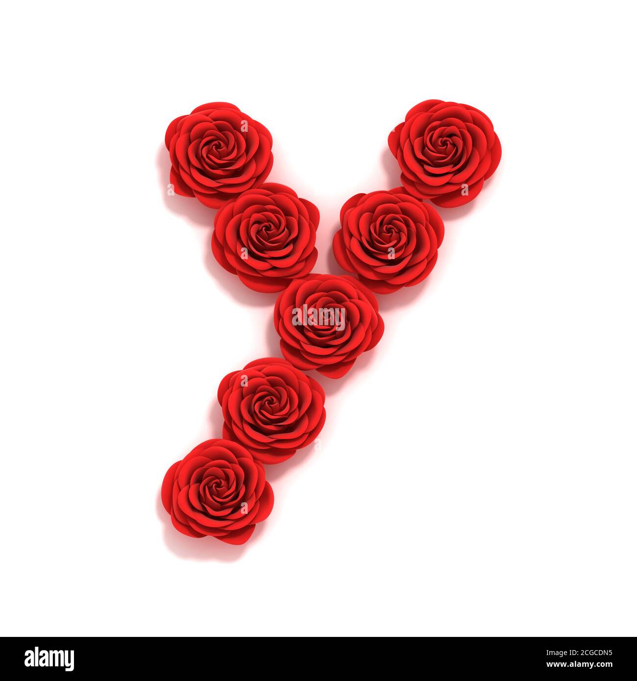 red roses font letter Y Stock Photo - Alamy