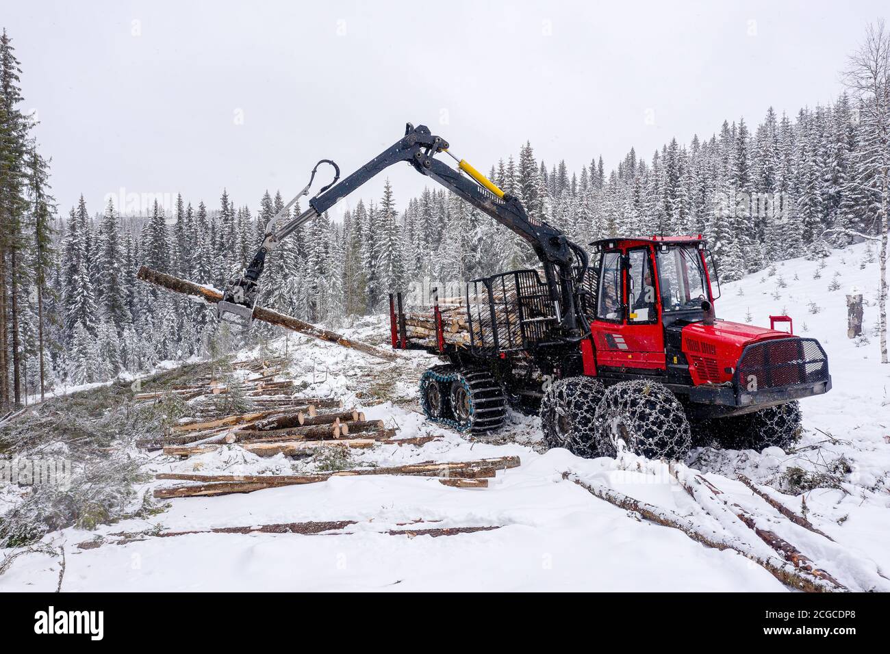 Timber harvesting hi-res stock photography and images - Alamy