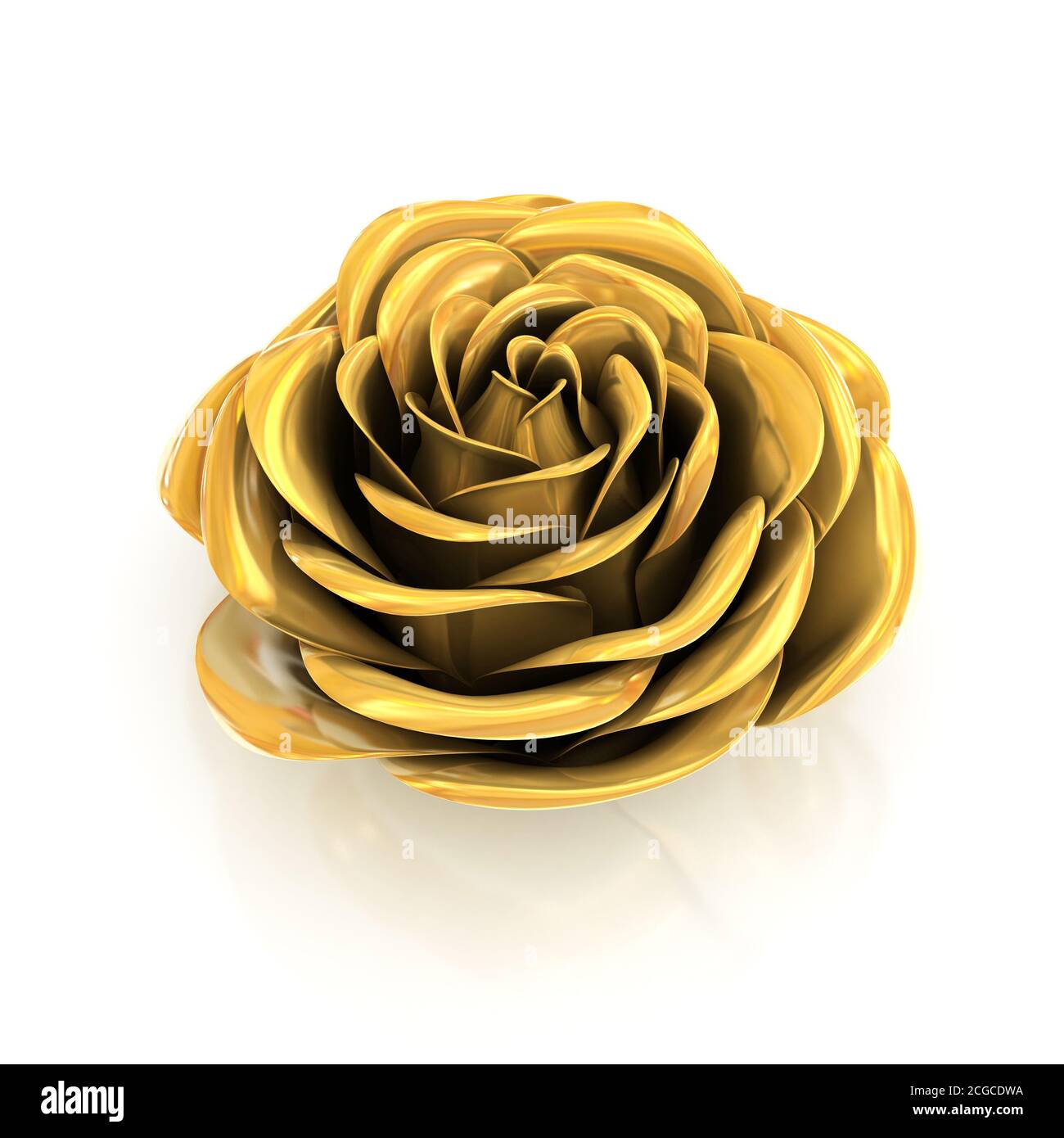 golden rose on white background 3d rendering Stock Photo - Alamy
