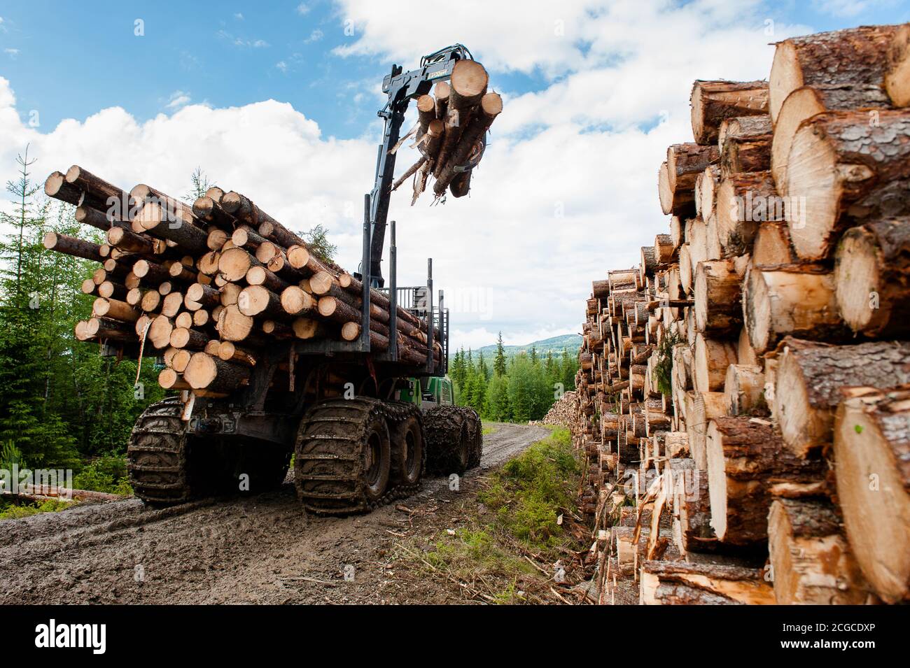 Timber Truck High Resolution Stock Photography and Images - Alamy