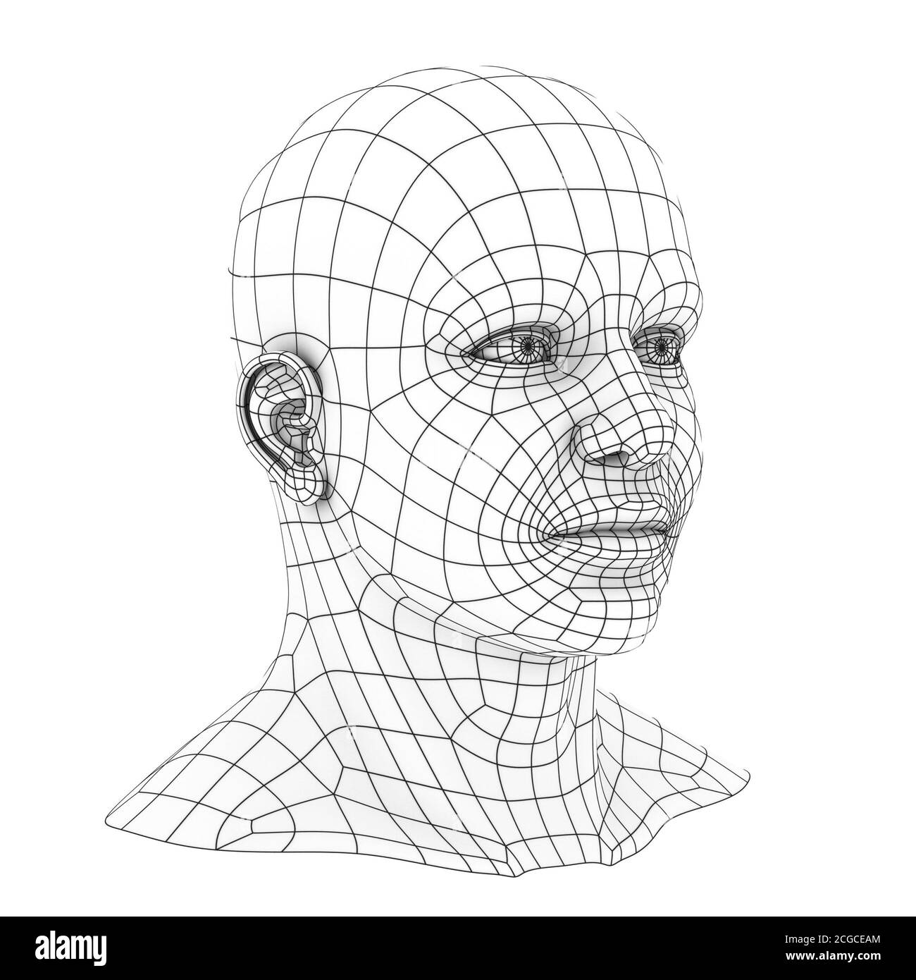 Human wireframe head Cut Out Stock Images & Pictures - Alamy Human wireframe head Cut Out Stock Images & Pictures - Alamy