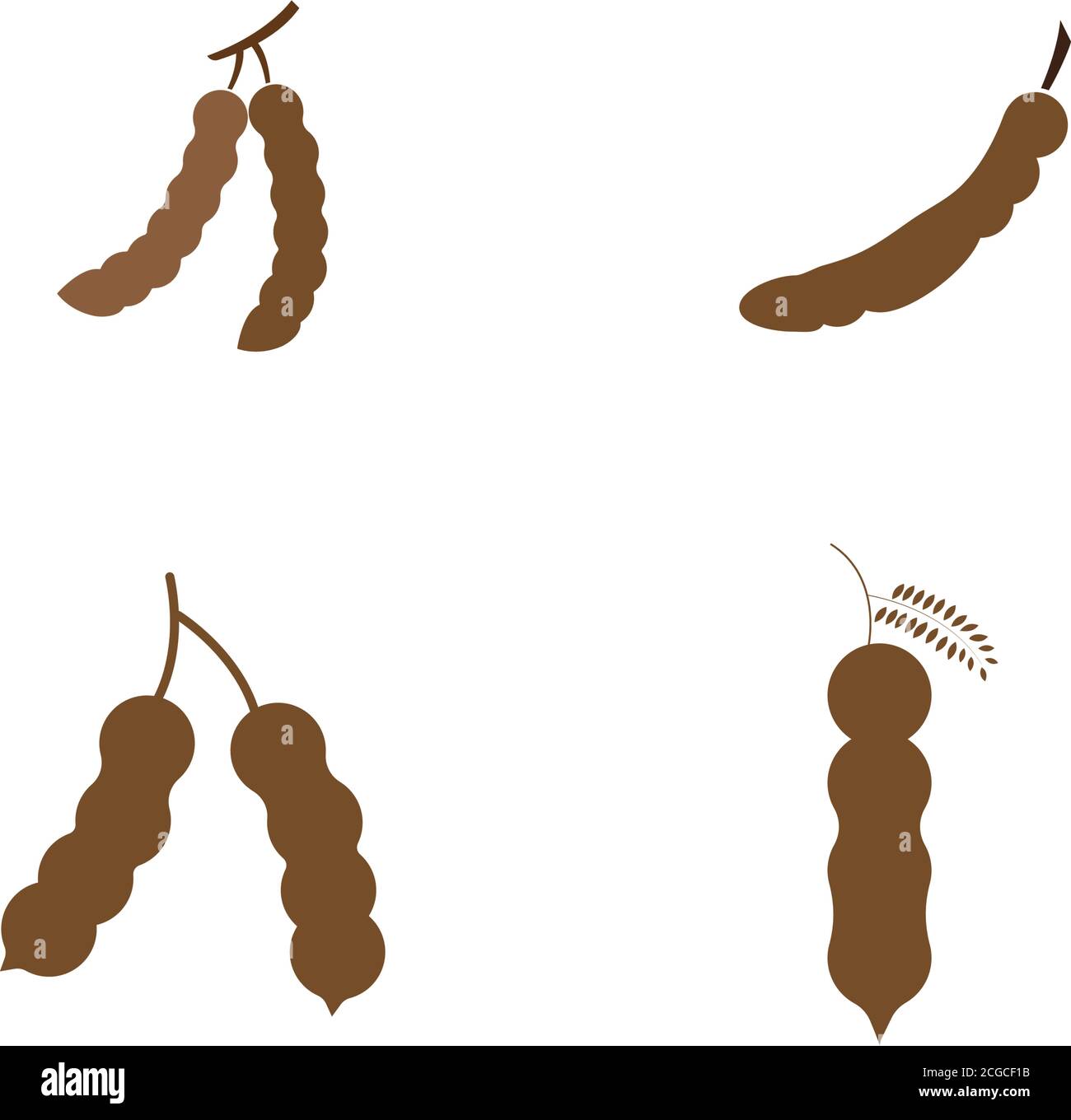 Tamarind white background Stock Vector Images - Alamy