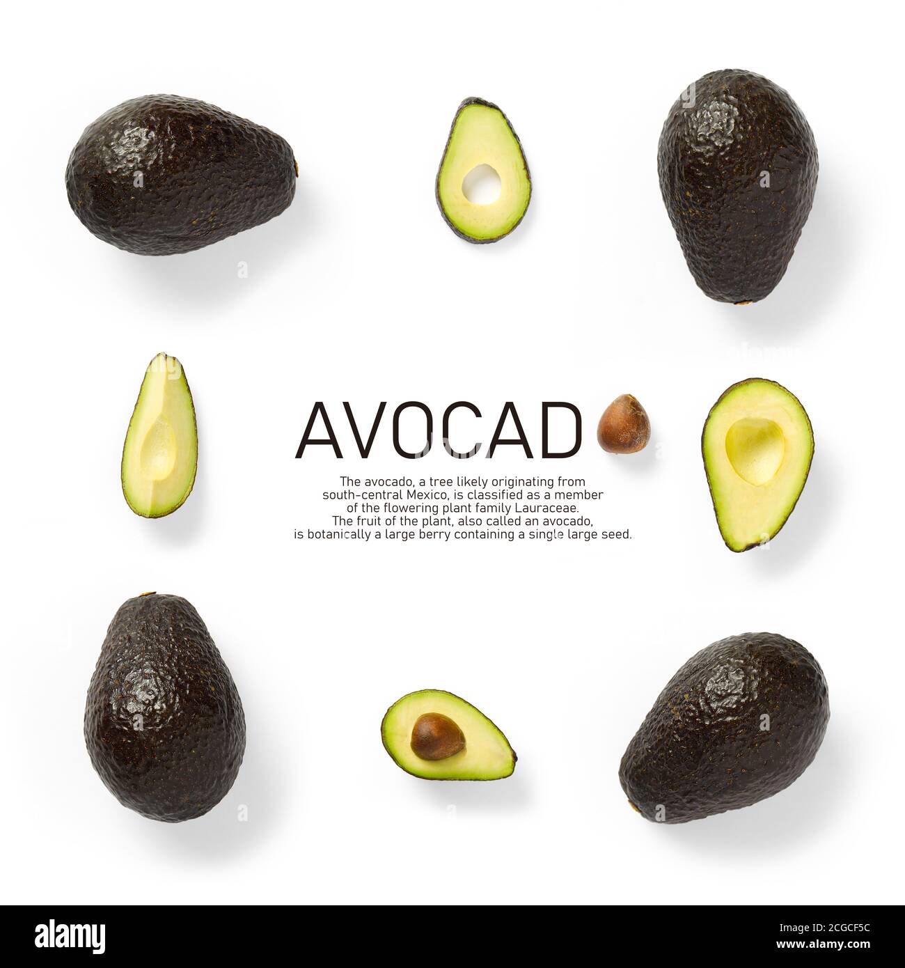 Modern creative avocado collage with simple text on solid color ...