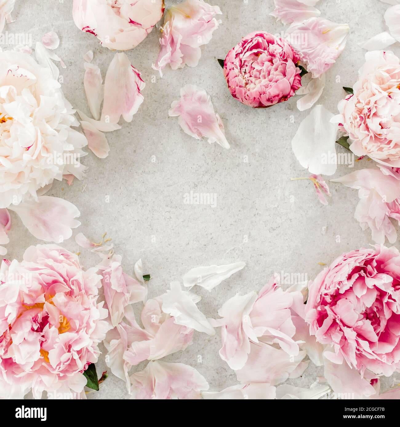 Gray And Pink Flower Background