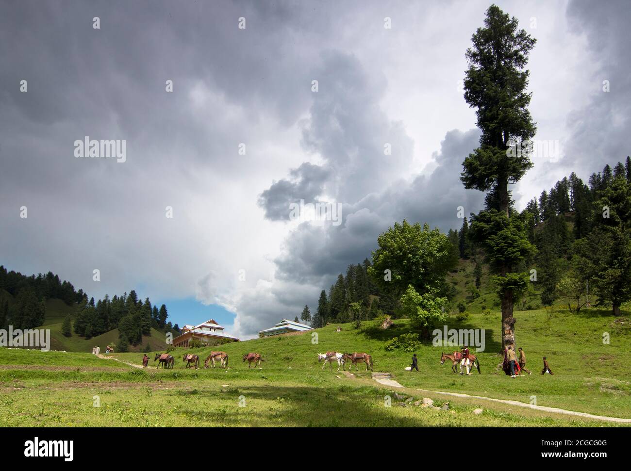 Landscapes photos of sharda , kel, taobut and all Neelam Valley Kashmir ...