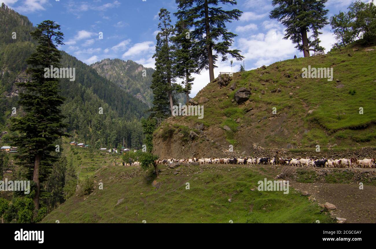 Landscapes photos of sharda , kel, taobut and all Neelam Valley Kashmir ...