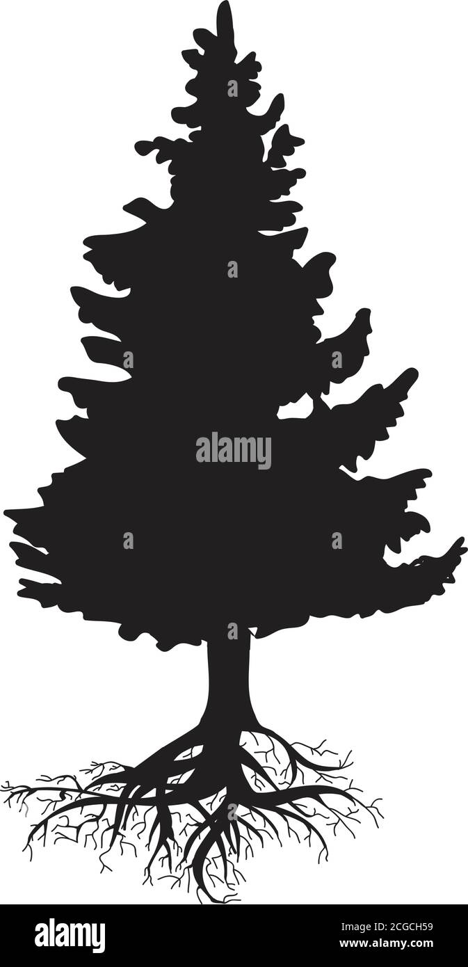 pine tree, graphiv design element Stock Vector Image & Art - Alamy