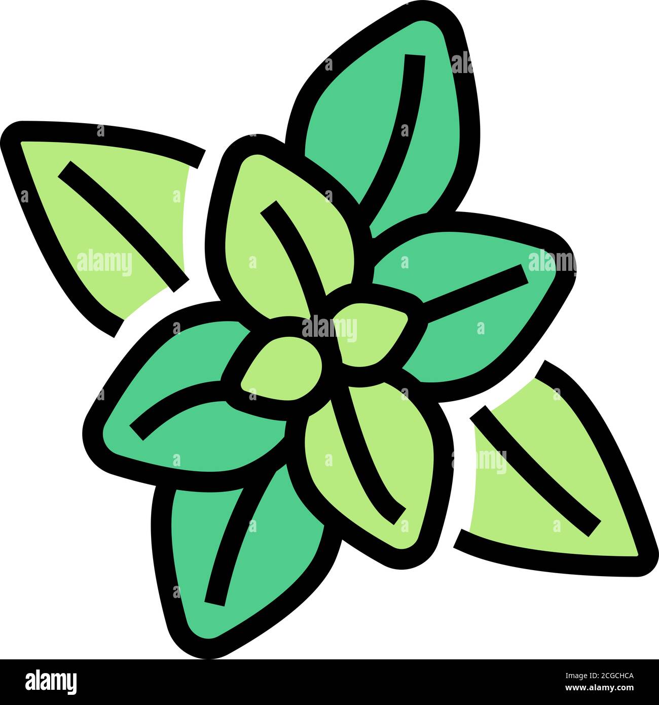 peppermint aromatherapy color icon vector isolated illustration Stock ...