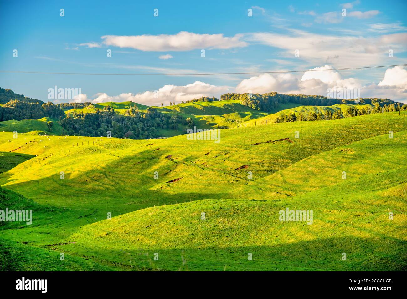 Amazing colors of New Zealand Hills in Spring Stock Photo - Alamy