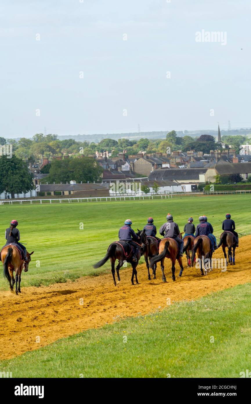 Newmarket Training grounds Stock Photo - Alamy