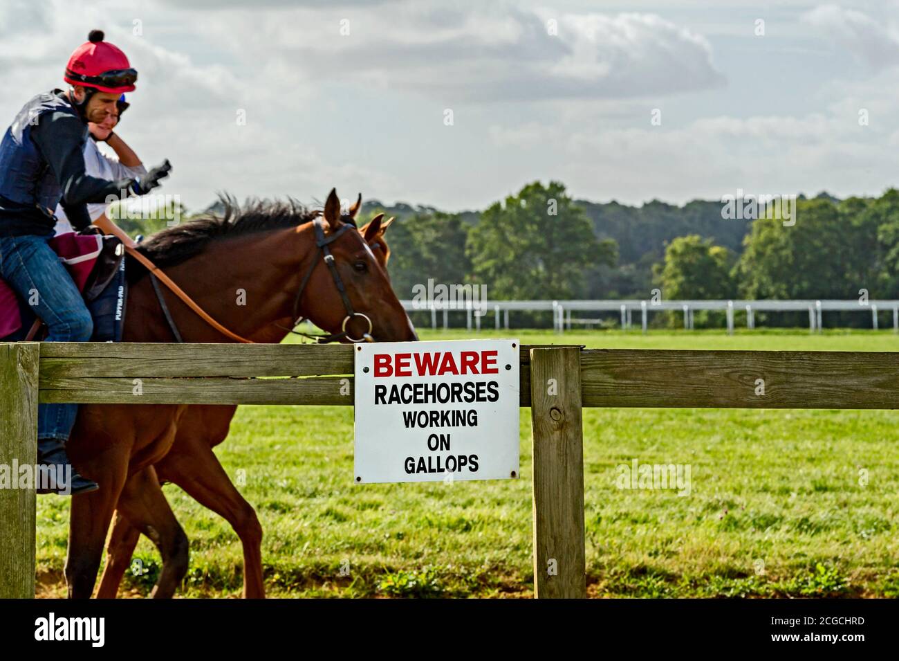 Newmarket Training grounds Stock Photo - Alamy