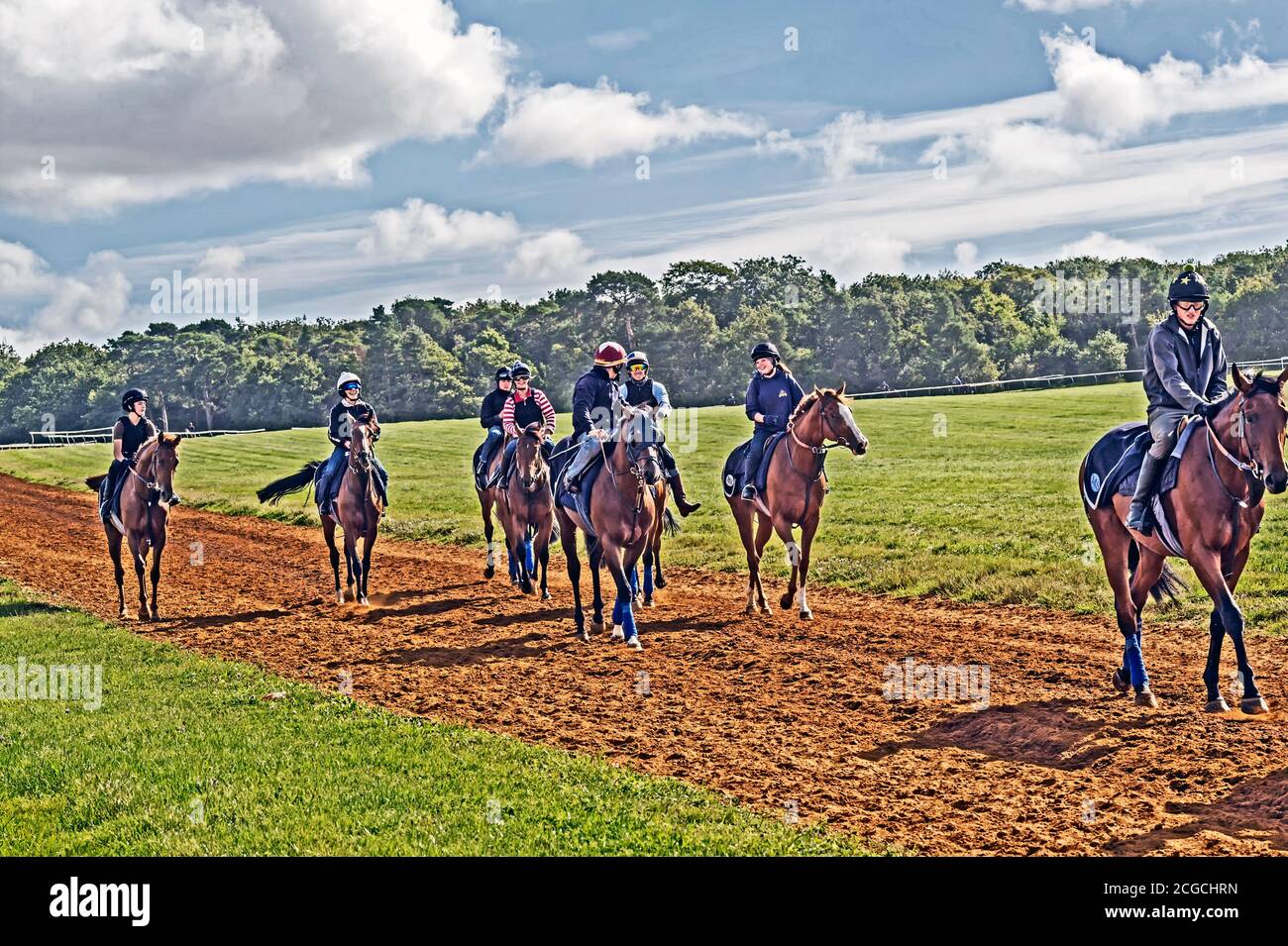 Newmarket Training grounds Stock Photo - Alamy