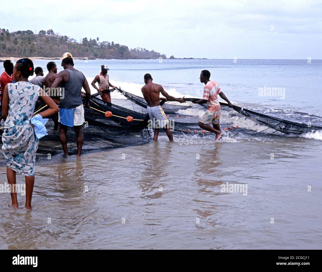 Local fishermen bringing in the fishing nets from the sea along Grafton ...