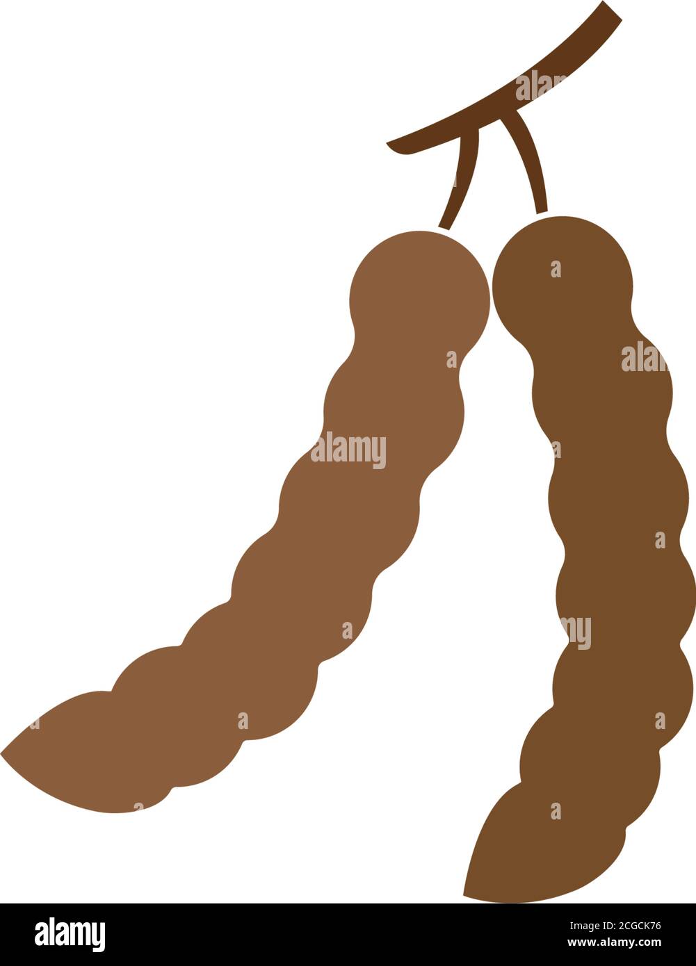 Tamarind white background Stock Vector Images - Alamy