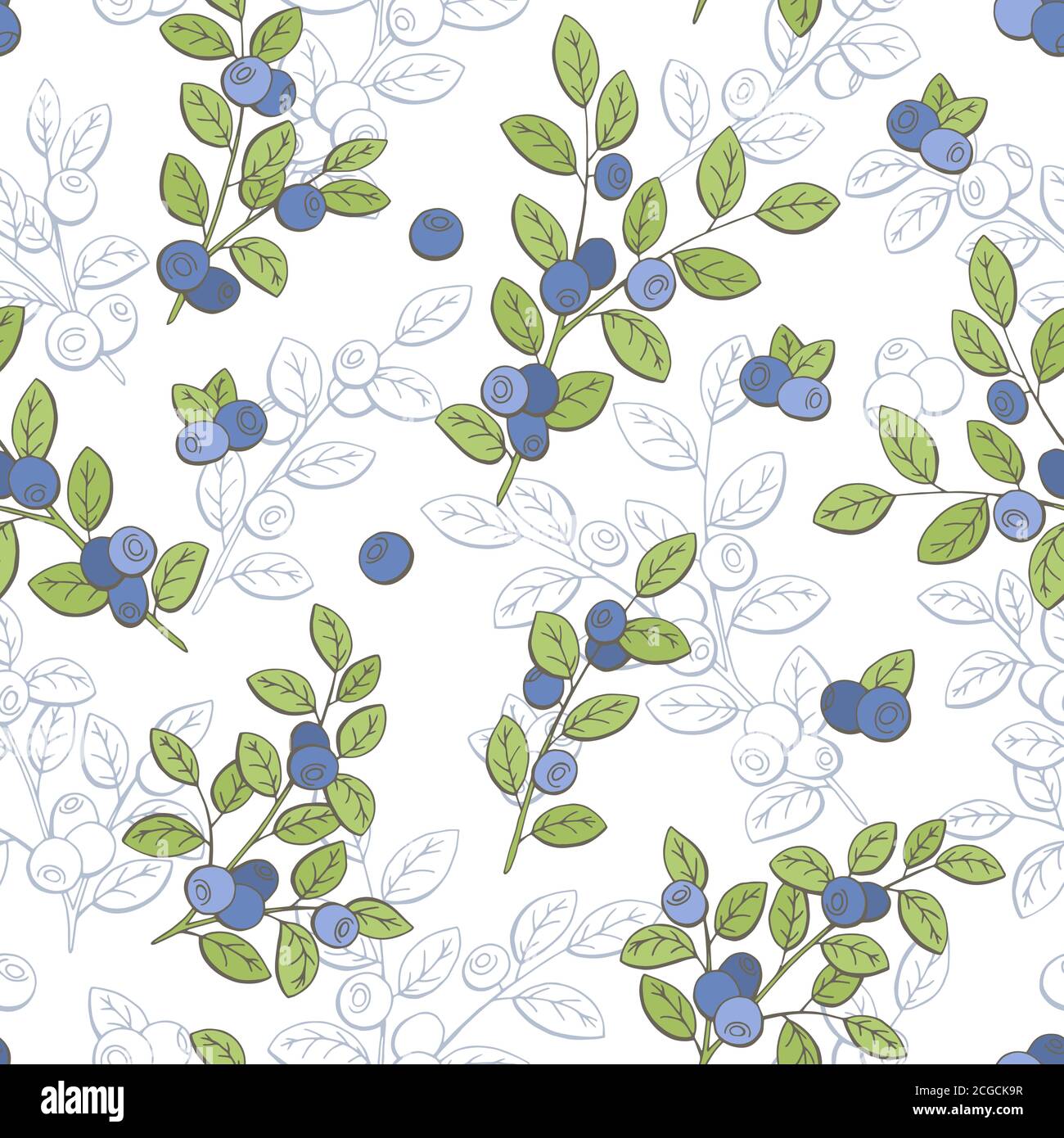 Blueberry graphic color seamless pattern sketch illustration vector ...