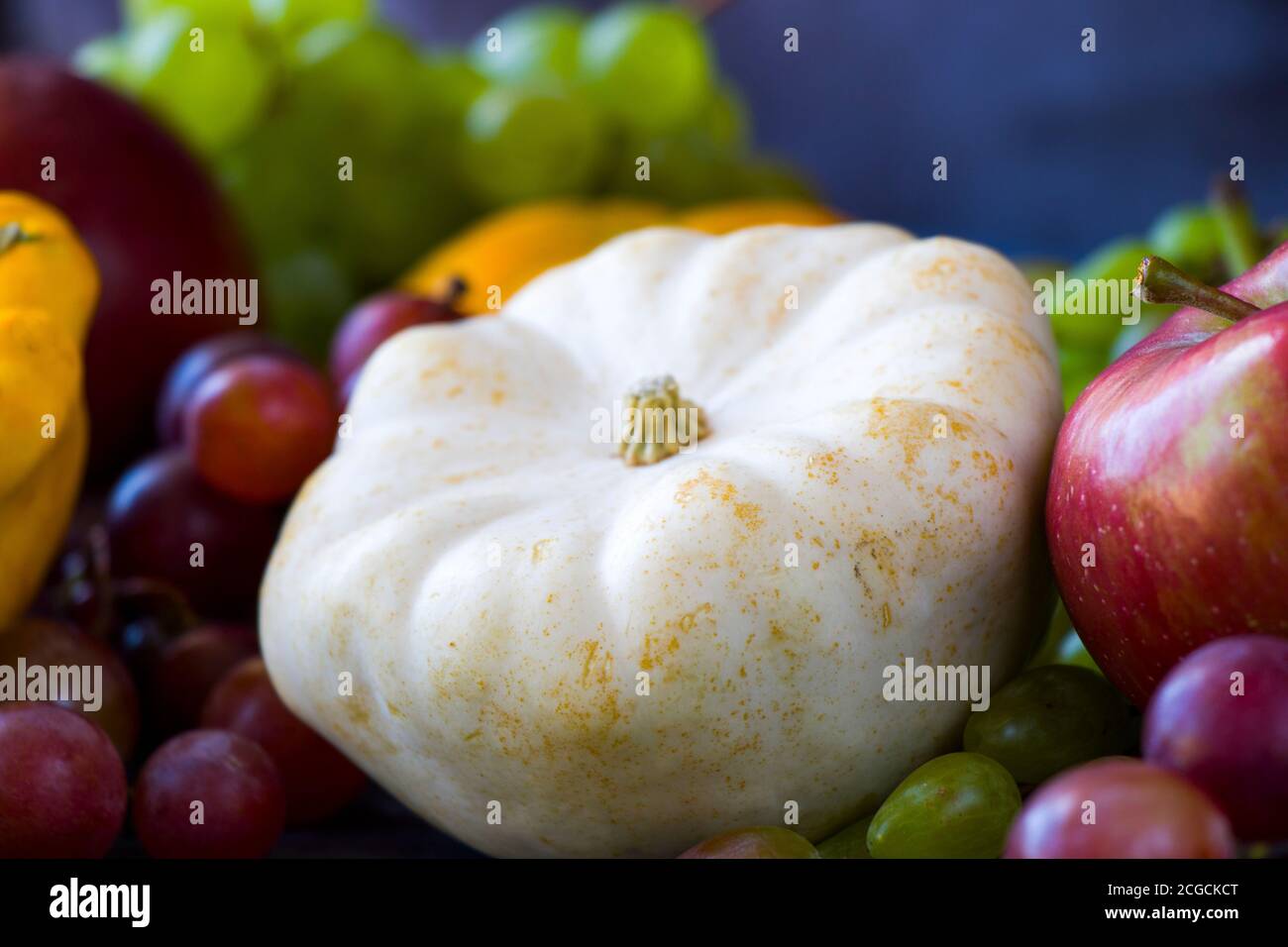 Autumn and fall harvest, pumpkin, apple, grape and pattison on the blue ...