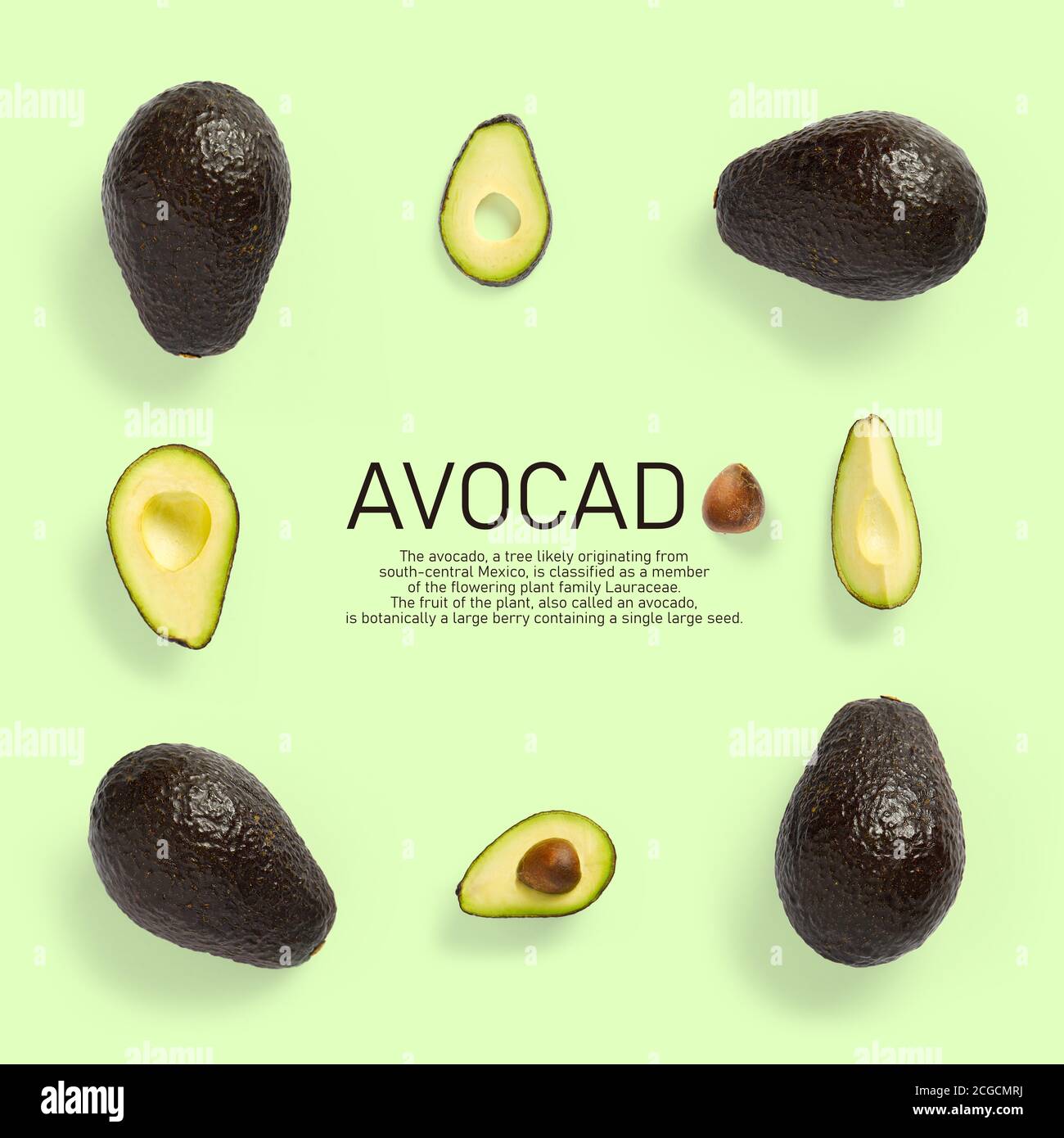 Modern creative avocado collage with simple text on solid color ...