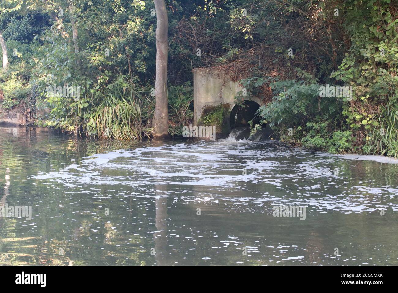 sewage outflow pouring into a river Stock Photo - Alamy