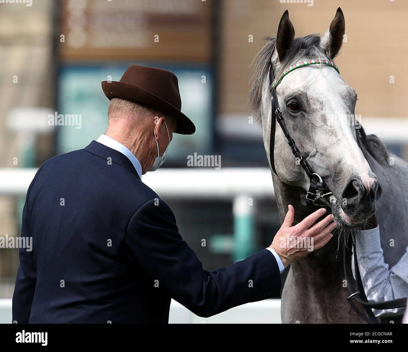 Stallion Logician