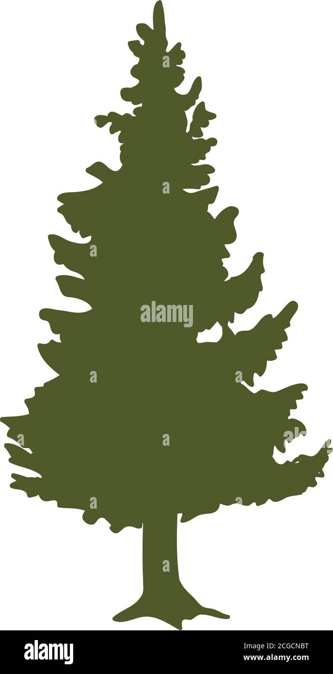 pine tree, graphiv design element Stock Vector Image & Art - Alamy