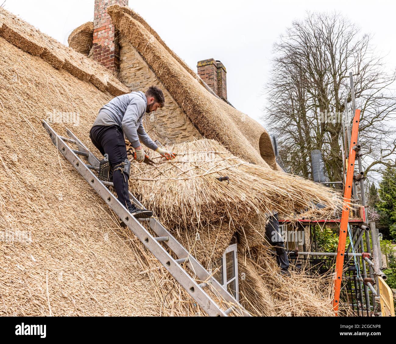 workmen thatching the roof of an old cottage Stock Photo - Alamy