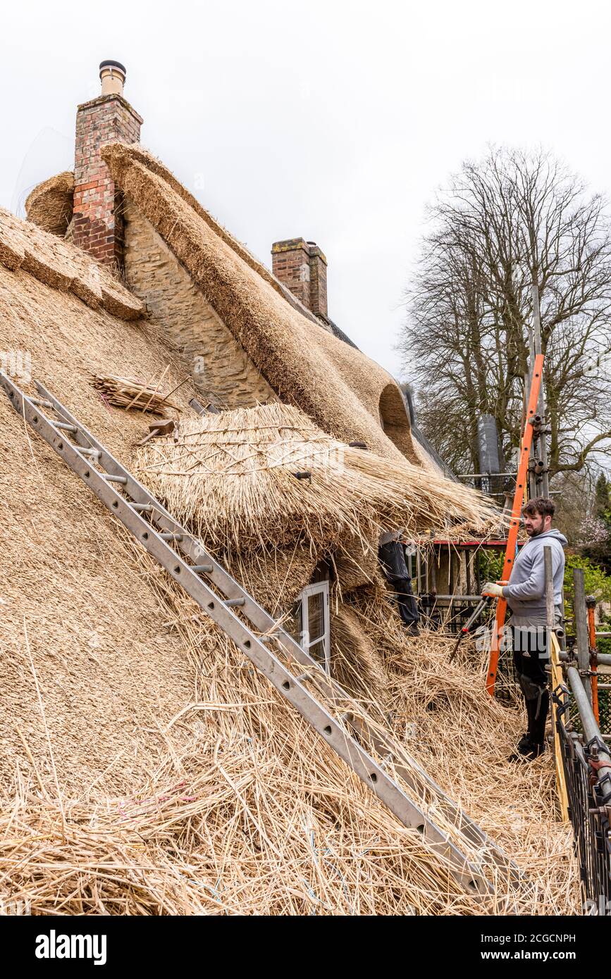 workmen thatching the roof of an old cottage Stock Photo - Alamy
