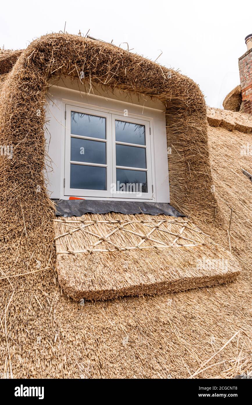 workmen thatching the roof of an old cottage Stock Photo - Alamy