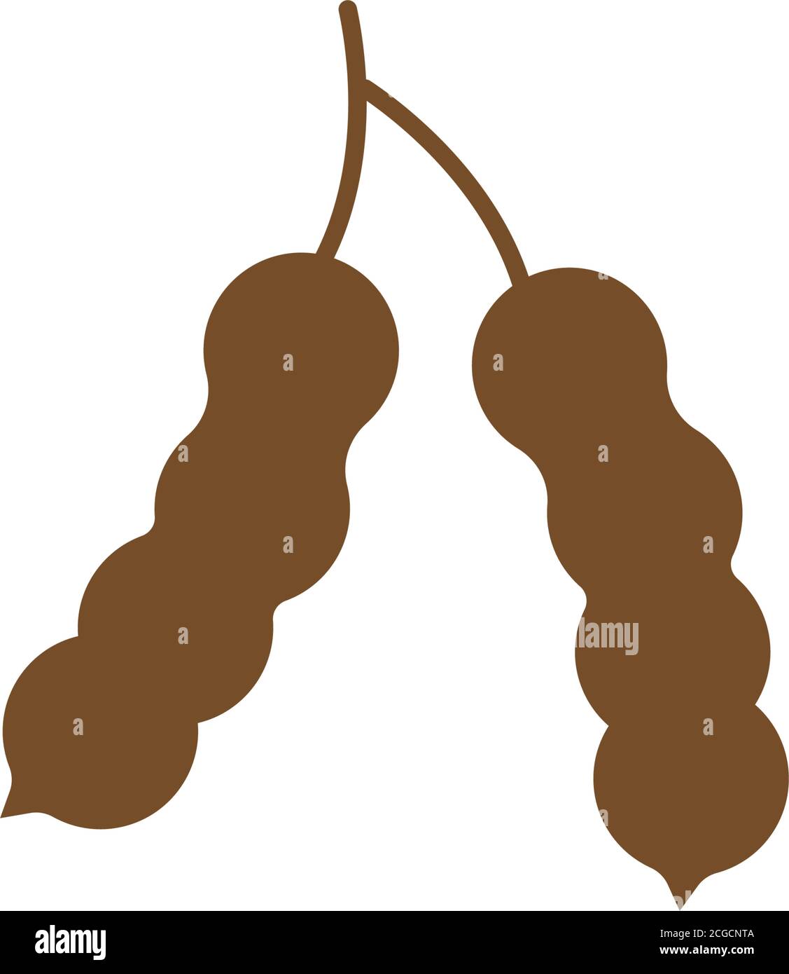 Tamarind white background Stock Vector Images - Alamy