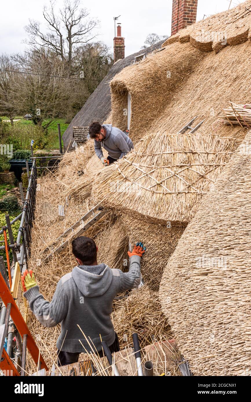 workmen thatching the roof of an old cottage Stock Photo - Alamy